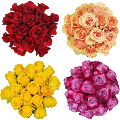 Euro Cut Rose - Sam's Club