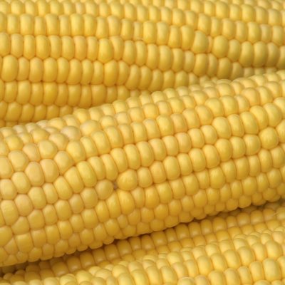 Sweet Corn (8 ct.) - Sam's Club