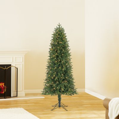 Sams Christmas Tree