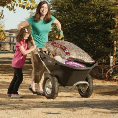 Lifetime Wheelbarrow 6.5 cu. ft. Sam s Club