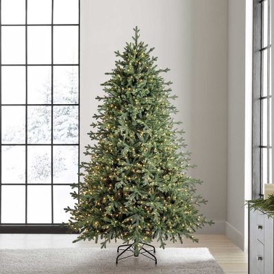 Member's Mark 7.5ft Pre-lit Linden Spruce Tree – BrickSeek