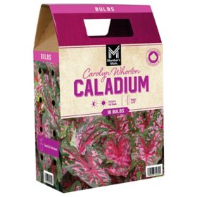 Plants - Sam's Club