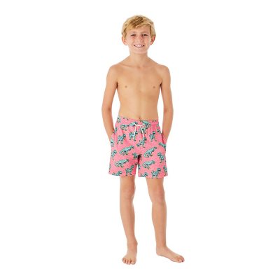 Click here for Members Mark Boys Resort Swim Trunk Dino 2T:- Dino... prices