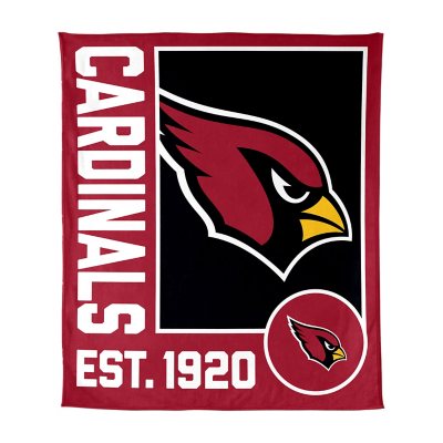 Click here for NFL 60x70 Super Plush Blanket  Assorted Teams prices