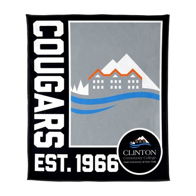 Click here for HBCU 60x70 Super Plush Blanket  Assorted Teams prices
