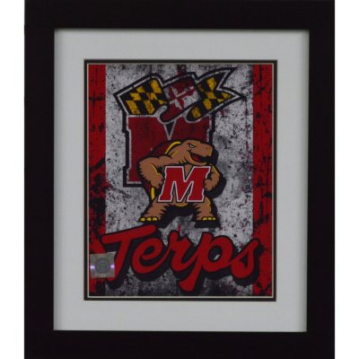 TERPS III PTM WALL ART - Sam's Club