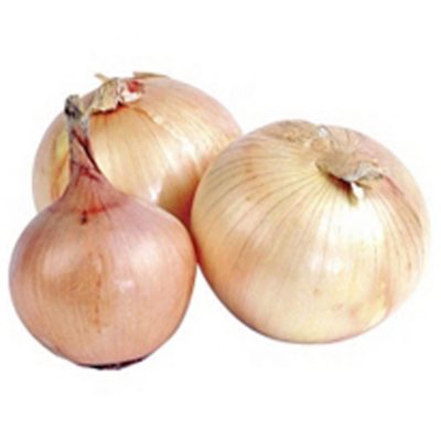 Fresh Sweet Onions - Sam's Club
