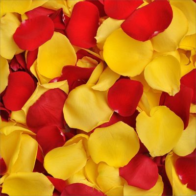 Click here for Members Mark Fresh Rose Petals  3 000 ct. (Choose... prices