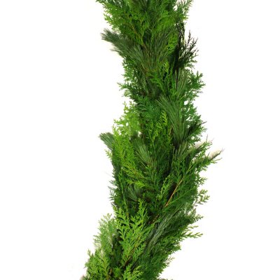 Click here for Members Mark Garland  Mixed Pine & Cedar (25 ft.) prices