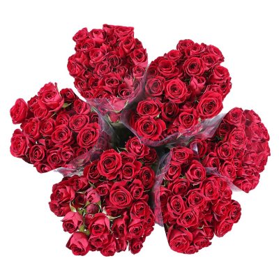 Click here for Members Mark Spray Roses (Red  60 Stems):- Red  60 prices