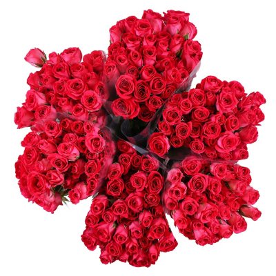 Member's Mark Spray Roses, Choose color variety and stem count - Sam's Club