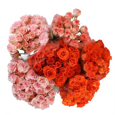 Click here for Members Mark Spray Roses (Pink & Orange  120 Stems... prices
