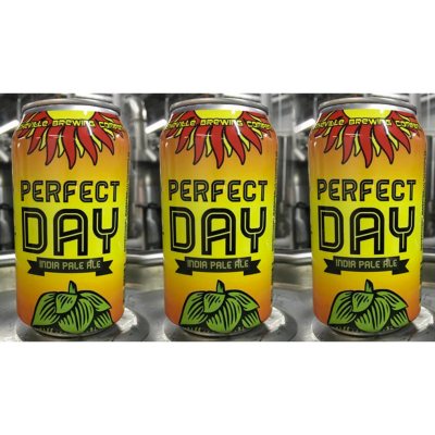 Asheville Perfect Day IPA (12 fl. oz. can, 6 pk.) - Sam's Club