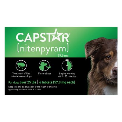 offline-bundle-Capstar Flea Tabs Dog (Choose Your Size) - Sam's Club