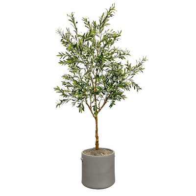 Faux 8' Olive Tree in Oversized Ceramic Pot - Sam's Club