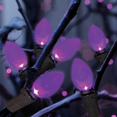 100 Count C4 LED Lights, Purple - Sam's Club
