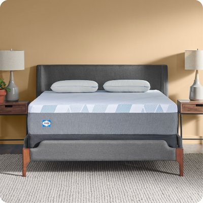 Click here for Sealy Dreamlife 12 Soft Memory Foam Mattress (Quee... prices