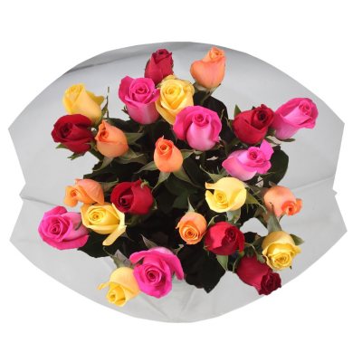 Double Dozen Roses, Assorted Rainbow Colors (24 stems) - Sam's Club