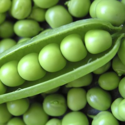 PEAS - ENGLISH - Sam's Club