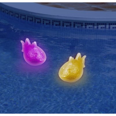 Programmable Solar Magic Fish - Sam's Club