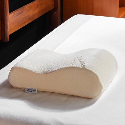 Click here for Tempur-Pedic TEMPUR-Neck Travel Pillow prices