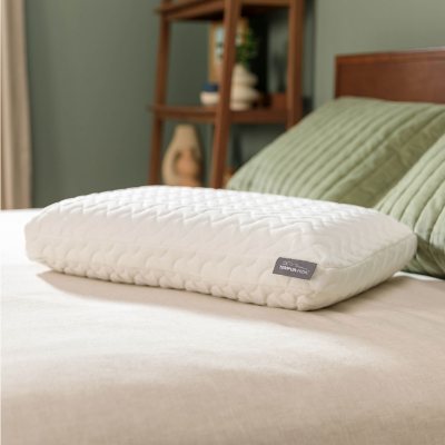 Click here for Tempur-Pedic TEMPUR-Cloud Pillow- King:- King prices
