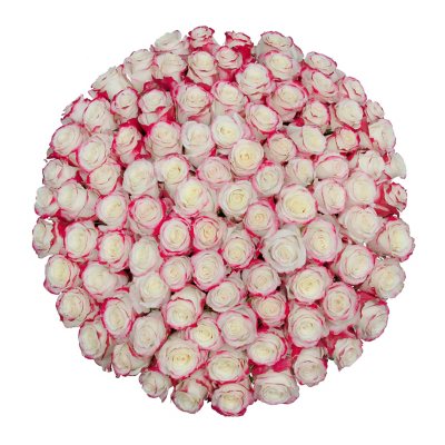 Click here for Members Mark 6 cm Ecuadorian Premium Roses - Sweet... prices