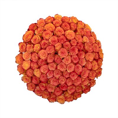 Click here for Members Mark 6 cm Ecuadorian Premium Roses - High... prices