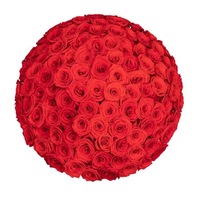 Member's Mark Ecuadorian Premium Roses, choose color variety and stem ...