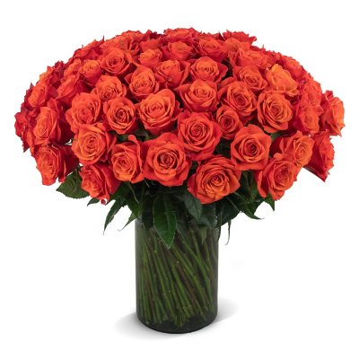 Member's Mark Rose Bouquet and Vase, 100 stems, Choose color variety ...