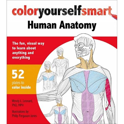 Color Yourself Smart: Human Anatomy - Sam's Club